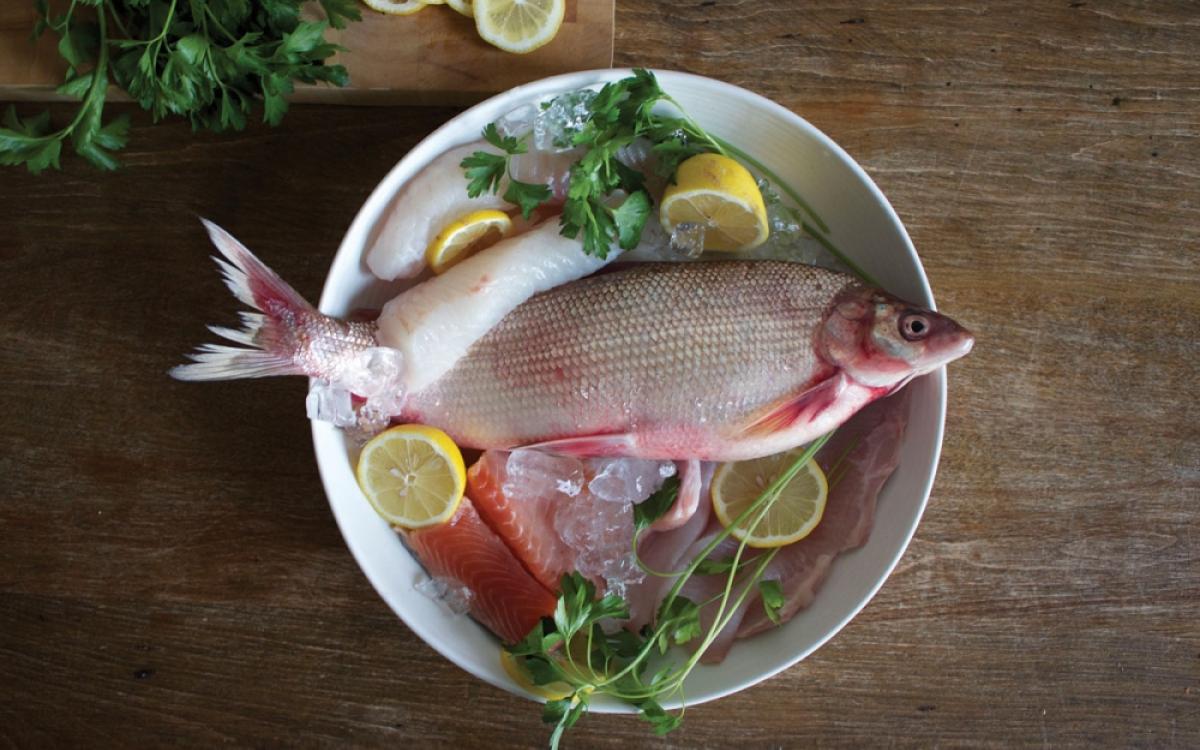 A few Northern fish recipes you have to try | Up Here Publishing