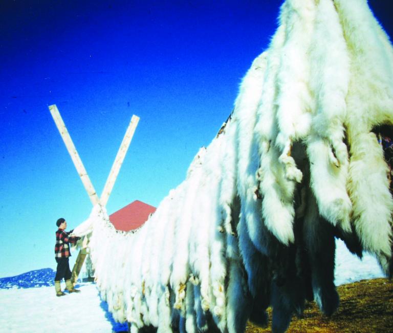 The history of the Bathurst Inlet Post | Up Here Publishing