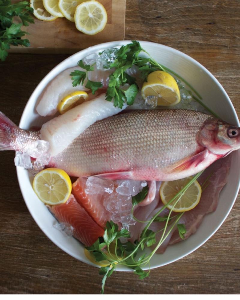 A few Northern fish recipes you have to try | Up Here Publishing