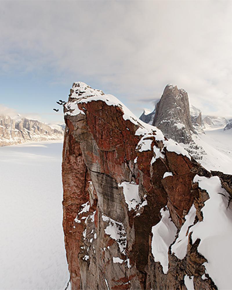 Base Instincts | Up Here Publishing