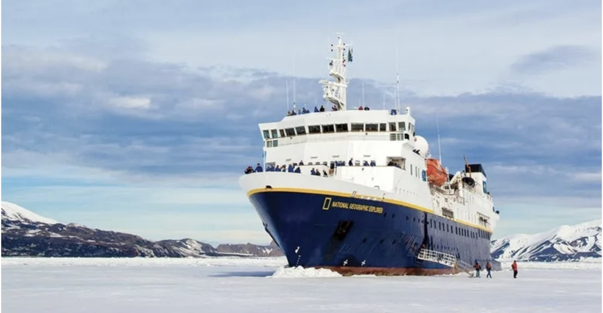 BACK TO 1984 | Up Here Publishing