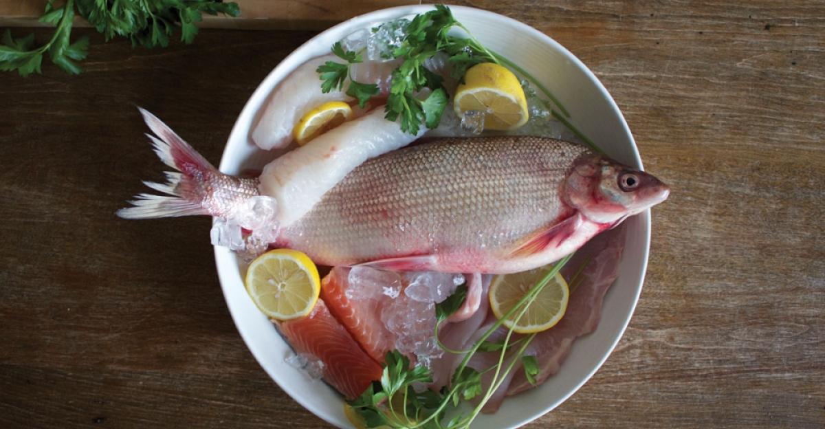 A few Northern fish recipes you have to try | Up Here Publishing