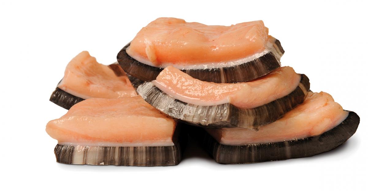 Living On The Wild Side | Up Here Publishing