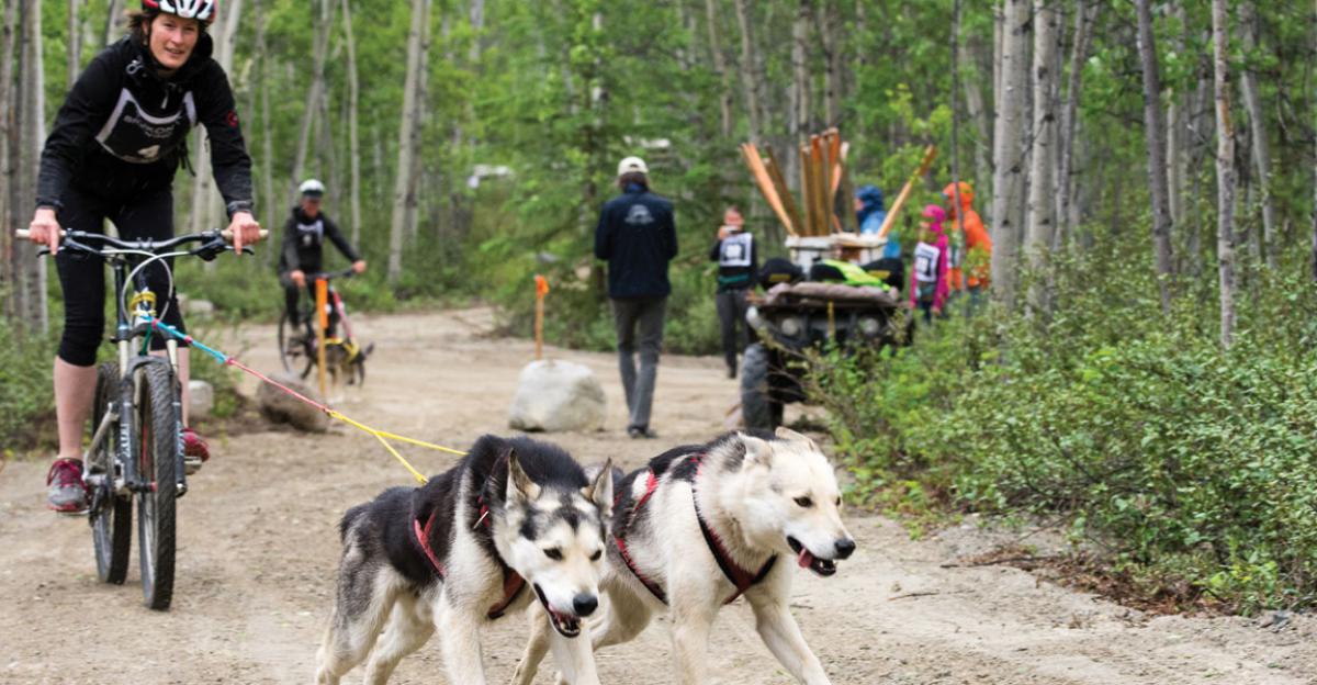 A Day At The Races | Up Here Publishing